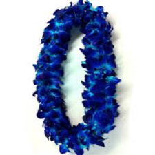 San Gabriel Flower - San Gabriel